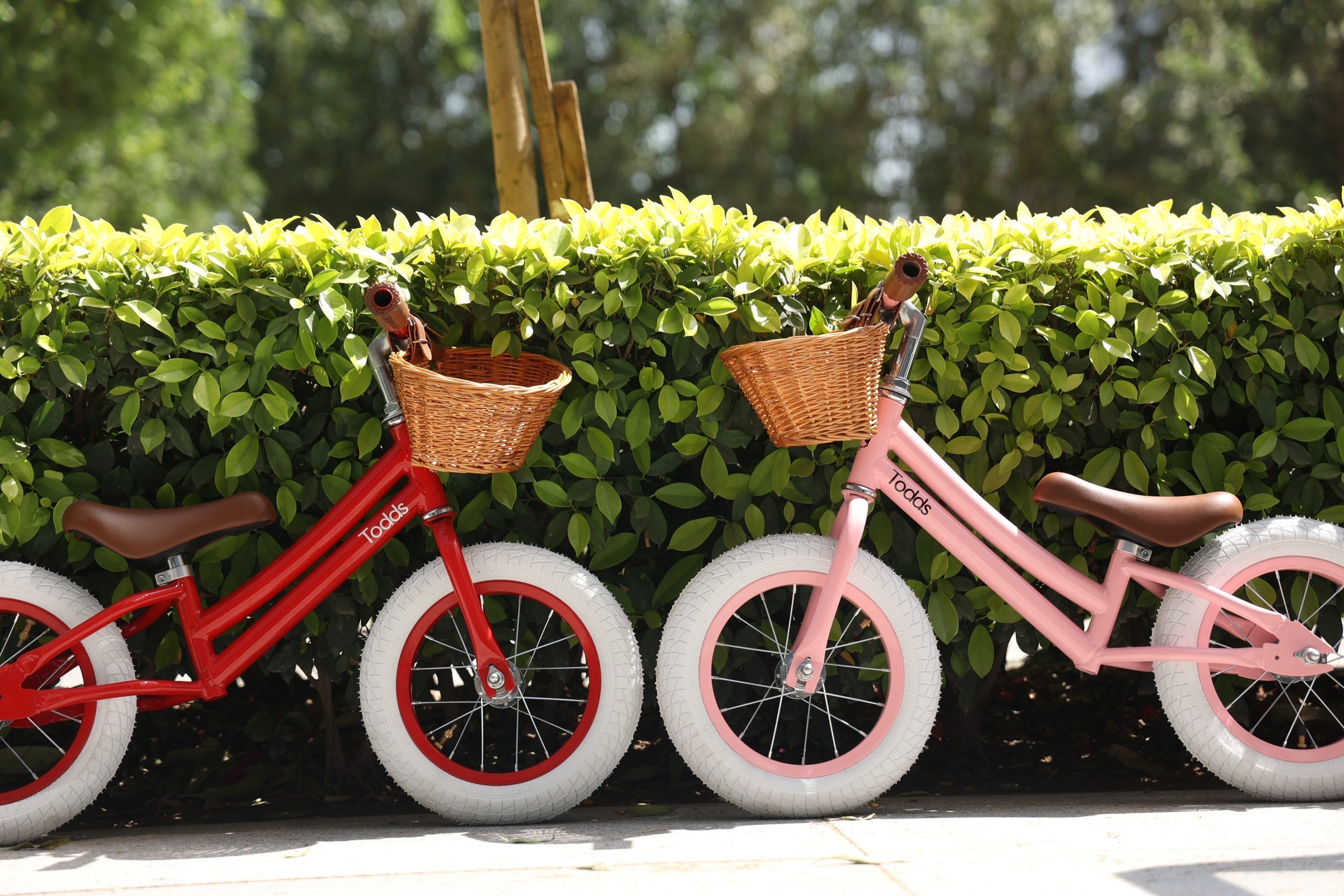 The Science Behind Balance Bikes and Why They’re Great for Kids – Todds